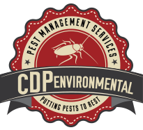 Contact Us - CDP Environmental