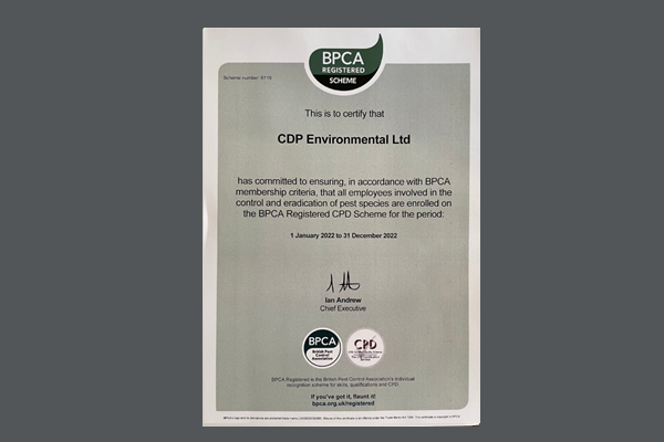 Certificate – CDP Environmental